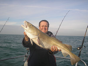 Piscary Sea fishing Trips from Poole - Cod Fishing
